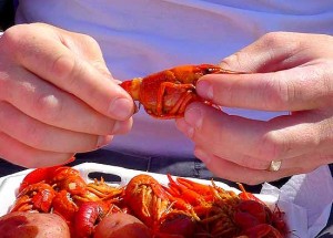 There's a technique to peeling Louisiana crawfish